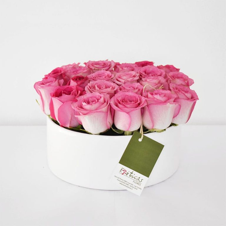 Rosas en base ceramica - Enviar Flores