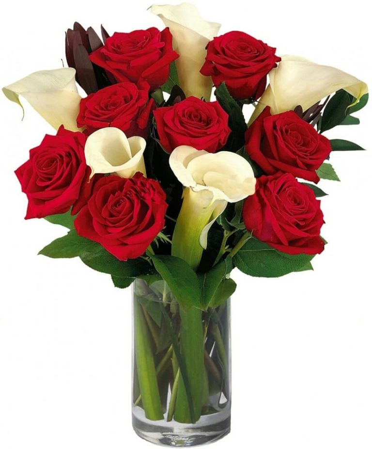 Rosas Rojas y Calas - Enviar Flores